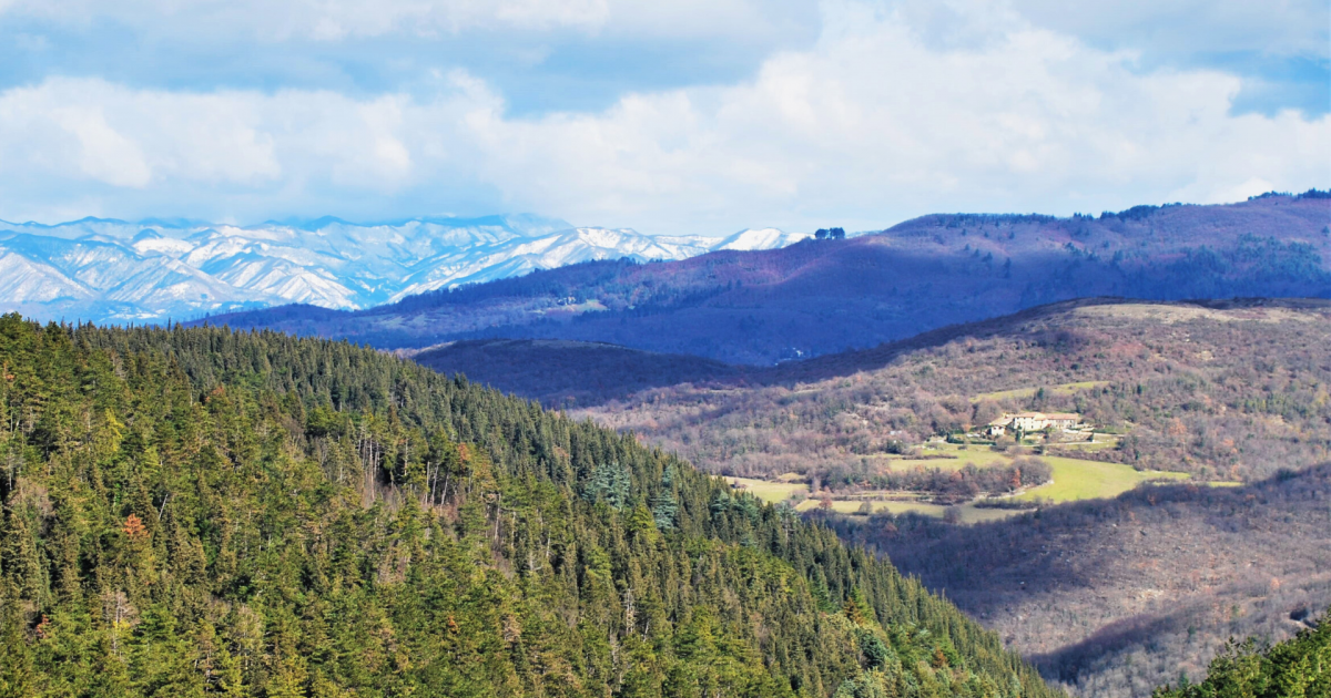 Everest di Firenze. Escursione guidata sul Monte Morello, Toscana