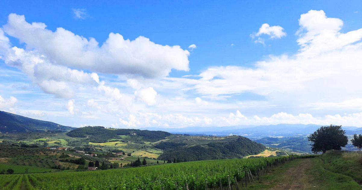 Il Castello di Ferrano. Escursione guidata a Pelago e al Castello di ...